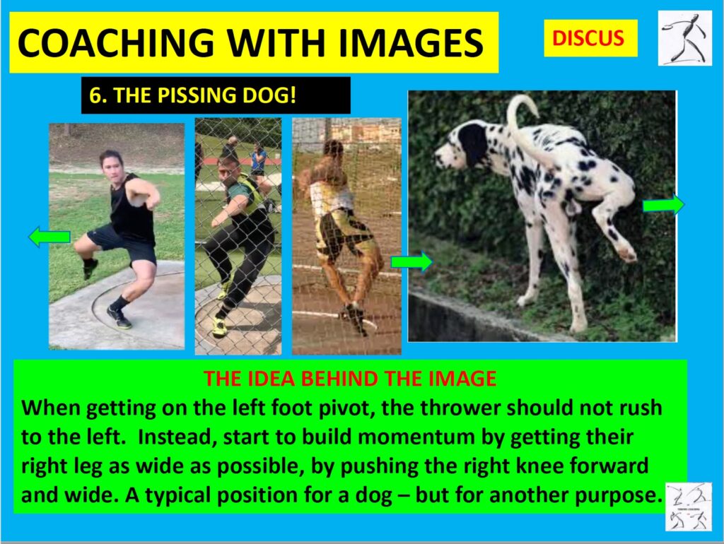 Dsc 01 Discus COACHING with images - DL Poppe